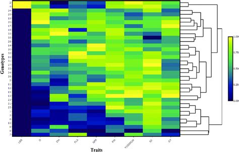 Heat Map Analysis Of Nine Traits Across 35 Genotypes Download