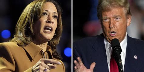 Trump Says Madison Square Garden Rally Was ‘absolute Love Fest