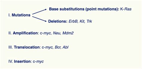 Lecture 2 Flashcards Quizlet