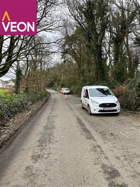 Tree Safety Tree Condition Assessment In Co Wicklow Veon
