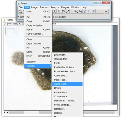 13 View Of The Imagej Software To Set The Configuration On The Wand Download Scientific