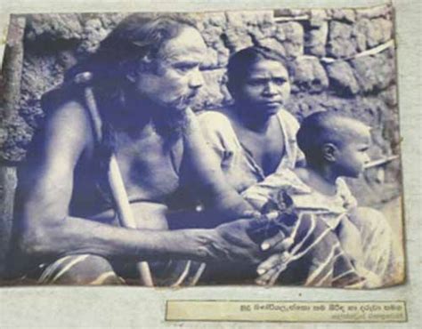 වැදි පරිනාමය කියාදෙන වැදි ජන Swadashikaya V B