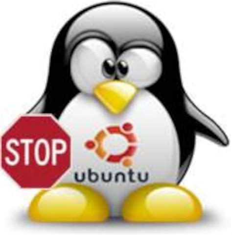 ubuntu 9 04 no incluirá el kernel 2 6 29 fayerwayer