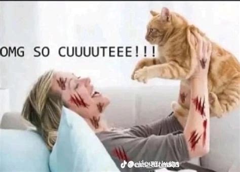 💗 Thats So So Me😂 Rcatmemes 💗 Thats So So Me😂 Rcatmemes