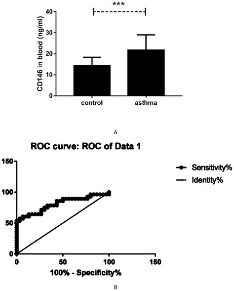 Application Of Cd146 As Treatment Target Point To Preparation Of Medicines For Treating Asthma