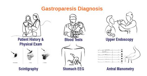 Gastroparesis Symptoms Causes And Advanced Treatment