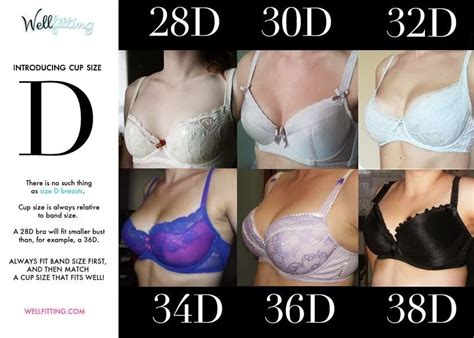 Double D Cup Breast
