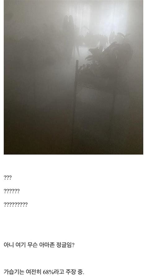 더쿠 아침에 일어났는데 침대에서 일어났는데 앞에