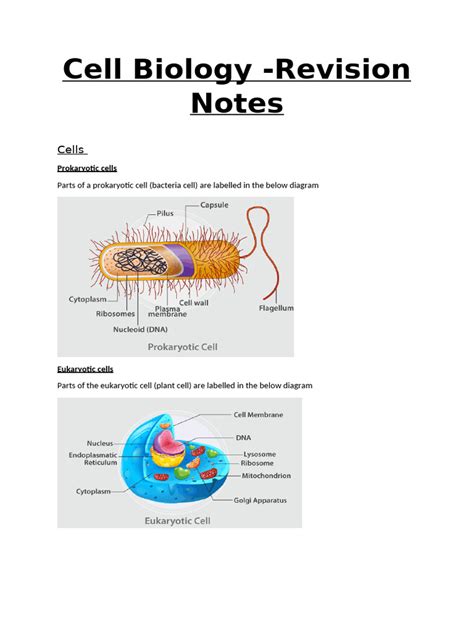 Cell Biology Revision Notes Pdf Cell Biology Eukaryotes