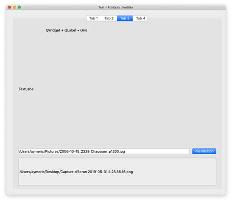 cannot load pictures anymore in custom forms · issue 30833 · qgis qgis