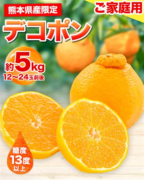 ご家庭用デコポン 約 5kg 前後 約12 24玉前後 糖度13度以上 《2024年2月上旬 4月末頃より順次出荷》個別光センサー選果
