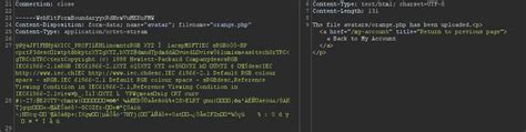 File upload vulnerabilities Các lỗ hổng upload tệp tin Phần 3