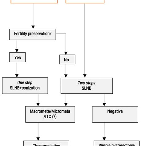 Proposed Algorithm For The Nodal Management Of Early Stage Cervical