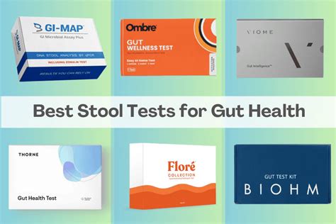 The Top 6 Best Stool Tests For Gut Health