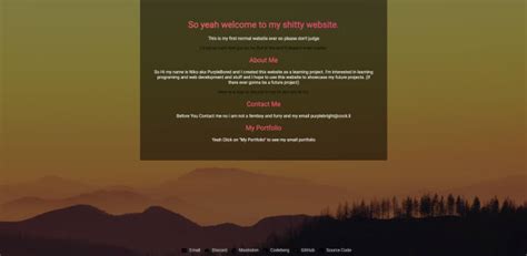 Make You A Simple Portfolio Website In Html And Css By Purplebored Fiverr