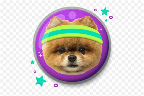 The Clarinet Video Backyardigans S1 Ep114 Star Decorations For