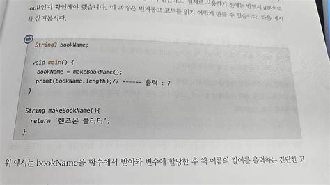 Dart 변수 사용하기 2late 변수