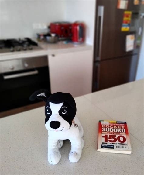 Oppo A And A S The Difference Review Gadgetguy