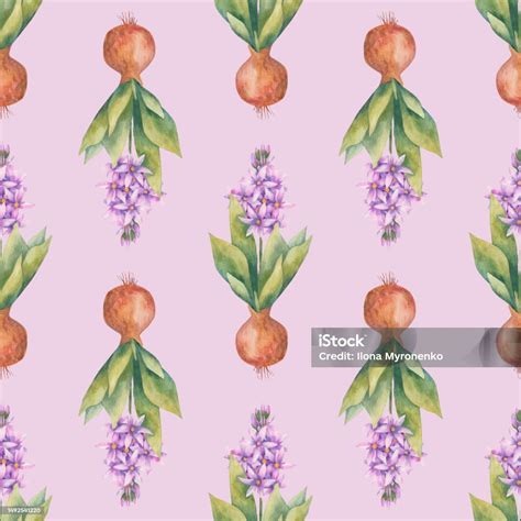 꽃이 만발한 히아신스가 있는 수채화 배경 꽃이 있는 끝없는 벽지 히아신스 수채화 그림입니다 손으로 그렸습니다 0명에 대한 스톡 벡터 아트 및 기타 이미지 Istock