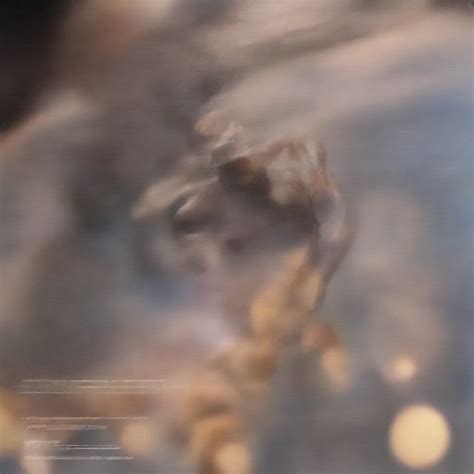 Identifying Bed Bugs Signs And Strategies For Control