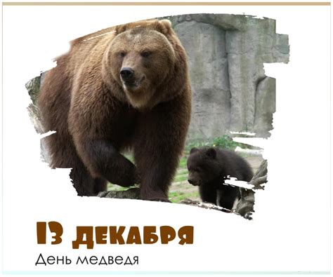 Calaméo День медведя