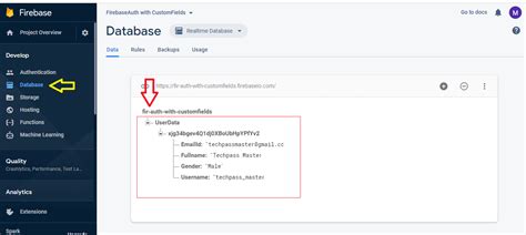 Firebase Authentication With Custom User Fields In Android