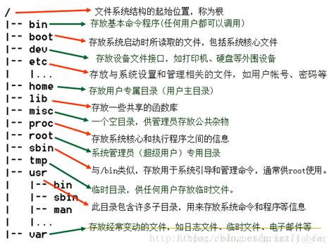 Linux入门：基本操作liux的基本操作 Csdn博客