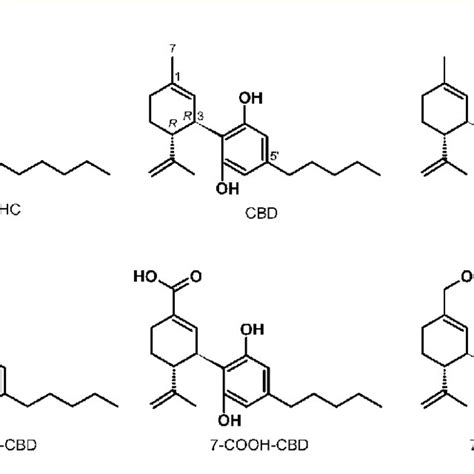 Structures Of Phytocannabinoids A And Some Of Their Main Metabolites B Download