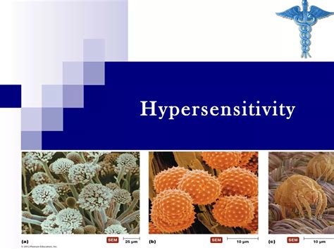 Hypersensitity And Types Of Hypersensitivity I Ii Iii Iv Ppt