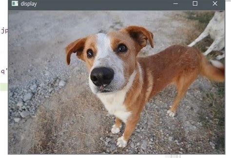 Python Opencv 설치와 이미지 출력 및 카메라 영상 캡쳐 예제 코드