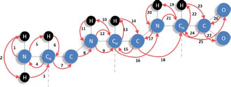 Order P Ato Of The Atoms Parsed During The Branch And Prune Algorithm