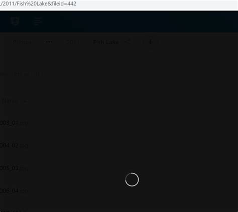 1801 Rc2 Cant View Images In Folders With Spaces · Issue 397