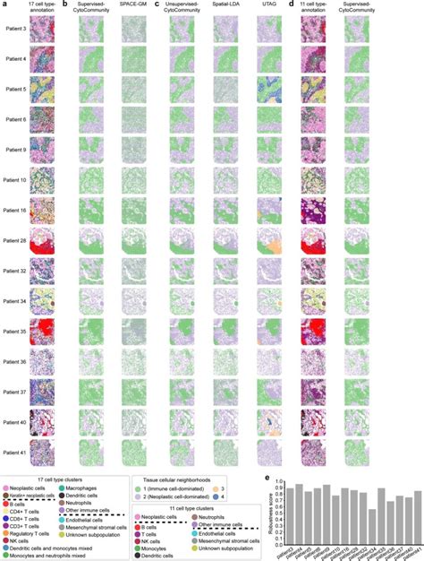 Unsupervised And Supervised Discovery Of Tissue Cellular Neighborhoods From Cell Phenotypes Pmc