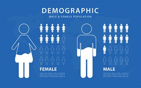Demographic Analysis Infographic Template Stock Illustration Download Demographic Analysis Infographic Template Stock Illustration Download