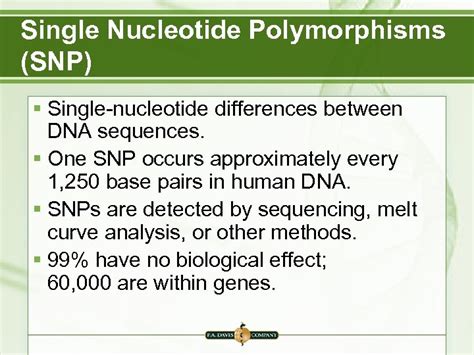 Chapter 11 Dna Polymorphisms And Human Identification