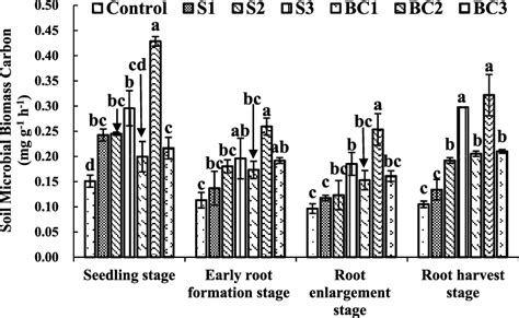 Effects Of Peanut Shell And Biochar Application On The Microbial Download Scientific Diagram