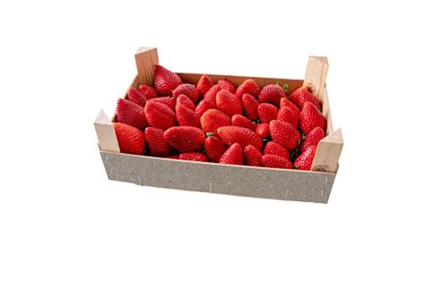 흰색으로 분리 된 복사 공간이있는 나무 상자에 잘 익은 빨간 딸기 계절에 따라 특정 음식을 계절에 따라 다릅니다 딸기에 대한 스톡 사진 및 기타 이미지 Istock