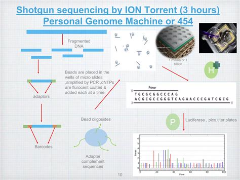 Next Generation Sequencing Pptx