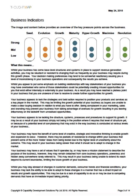 Sample Business Diagnostic Report 1 Capability Development Solutions