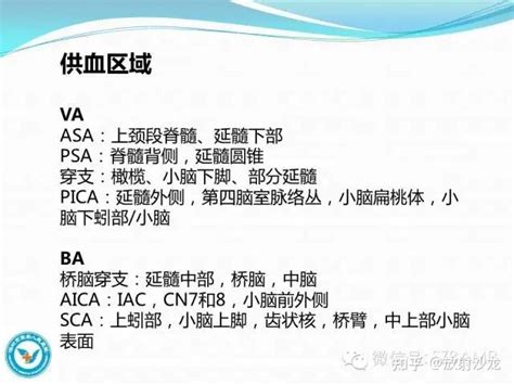 椎 基底动脉系统ct，mr及dsa影像解剖 知乎