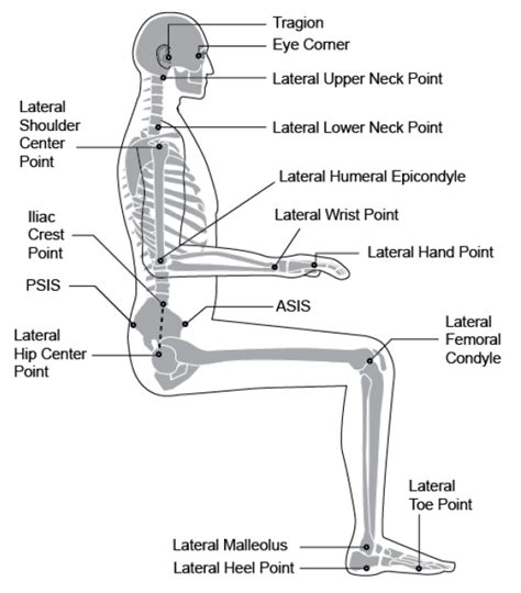 Measurements In Seating Part 1 Relative Angles Of The Body