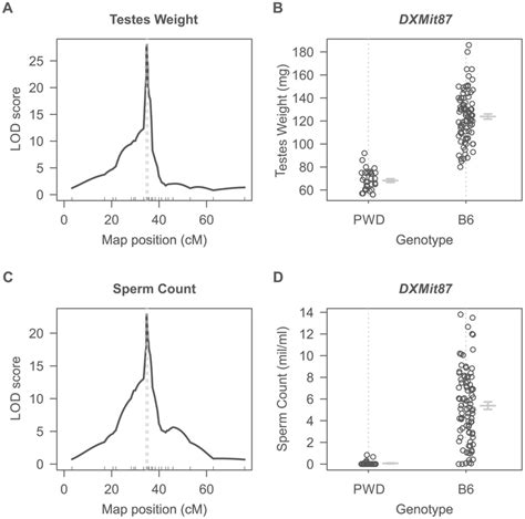 Single QTL Mapping Of Hstx On Chr X A QTL Analysis Of Testes Weight Download Scientific