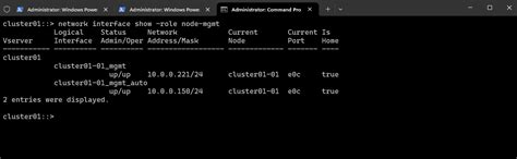 Cheat Sheet Netapp Ontap Commands Used In Day To Day Operations Cheat Sheet Netapp Ontap Commands Used In Day To Day Operations