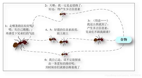 一文搞懂什么是蚁群优化算法 ant colony optimization aco 【附应用举例】 请指出蚁群优化算法的基本思想来源 csdn博客