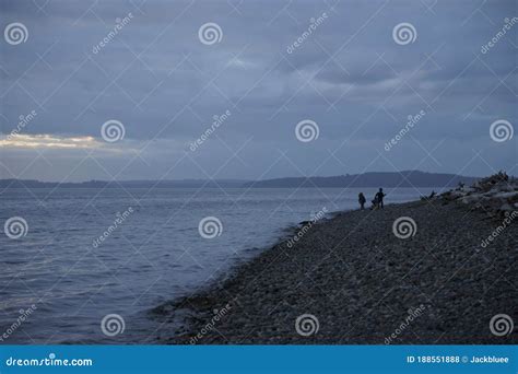 Lincoln Park Beach Seattle Sunset Foto De Archivo Imagen De Playa