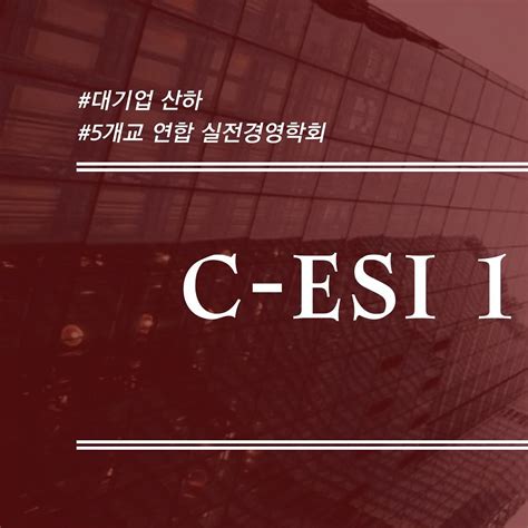 성균관대학교 No1 실전경영전략학회 C Esi Part 3 Curriculum Of C Esi 성균관대학교 C Esi의