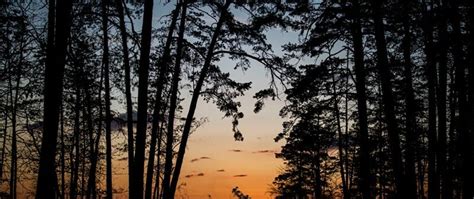 Javascript Locationreload 🔄 Dev Community