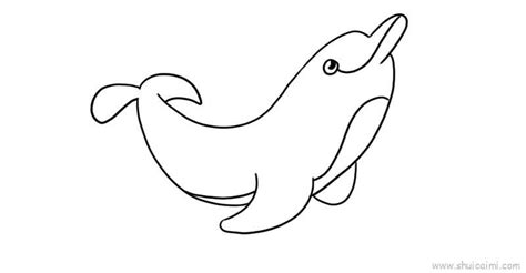 海豚儿童画怎么画 海豚简笔画简单又好看 简笔画大全 儿童简笔画图片大全