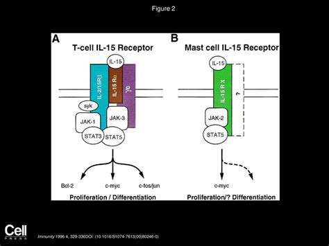 Volume 4 Issue 4 Pages April 1996 Ppt Download
