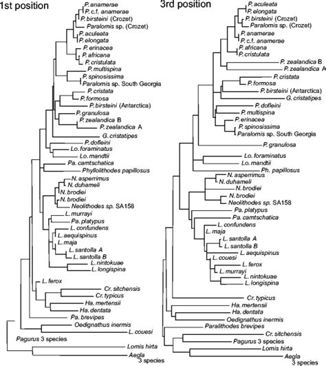 Minimum Evolution Trees Produced In Mega For Coi Codon Positions 1 And